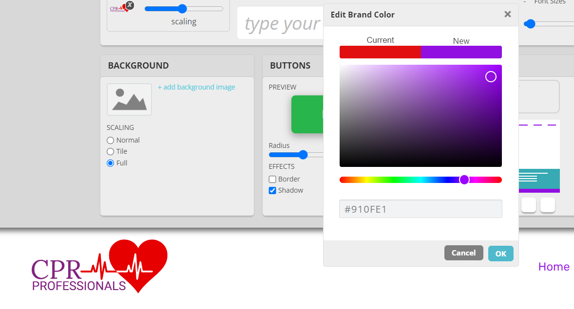 How to Use Brand Colors – SiteSwan Support